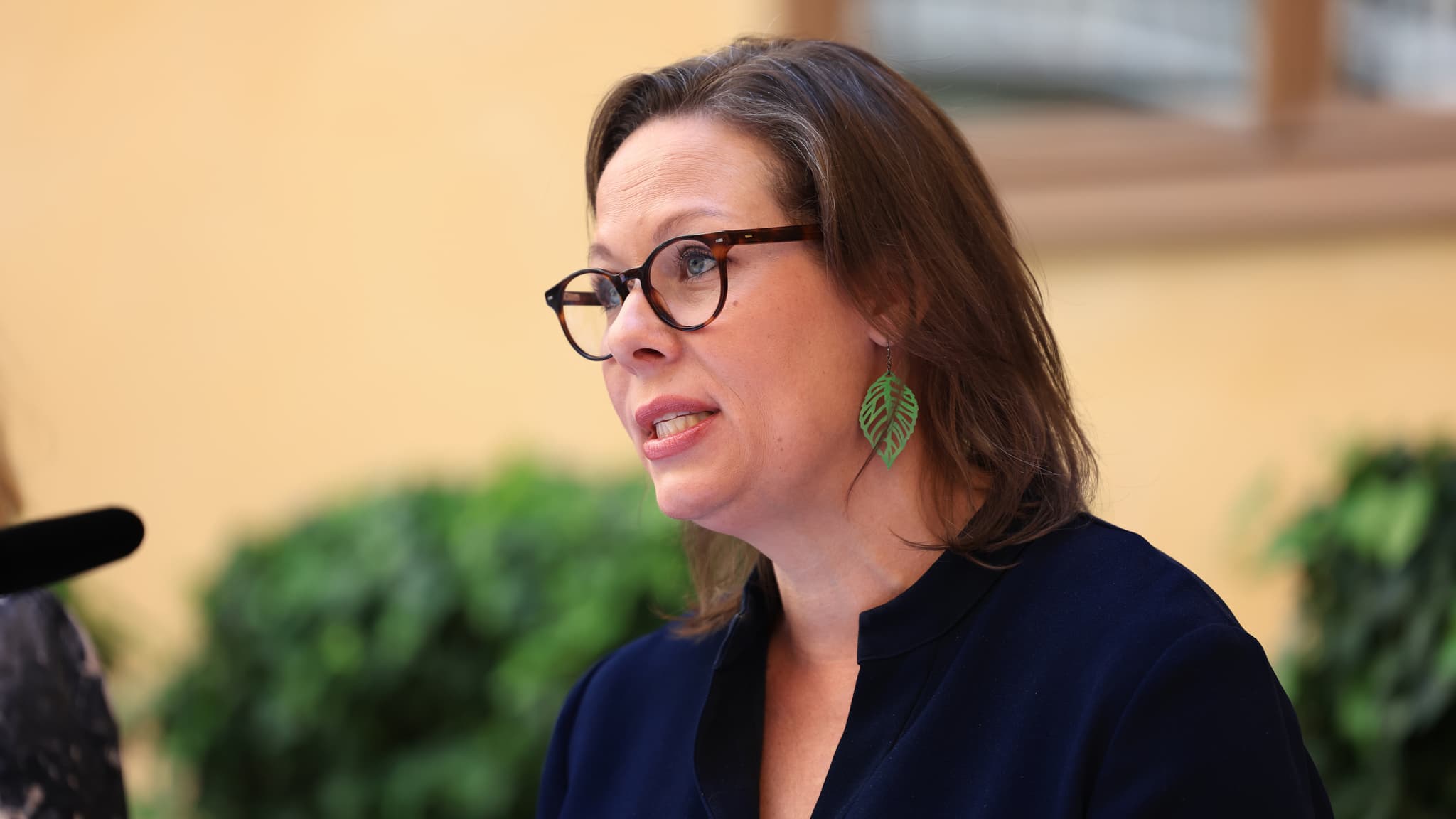 Alexandra De Paoli: Torka nyttiga nypon till te och kosttillskott