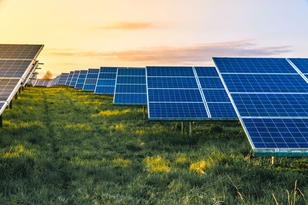 Dr. Sanna Ehdin: Alla grönsaker passar inte allas hälsa