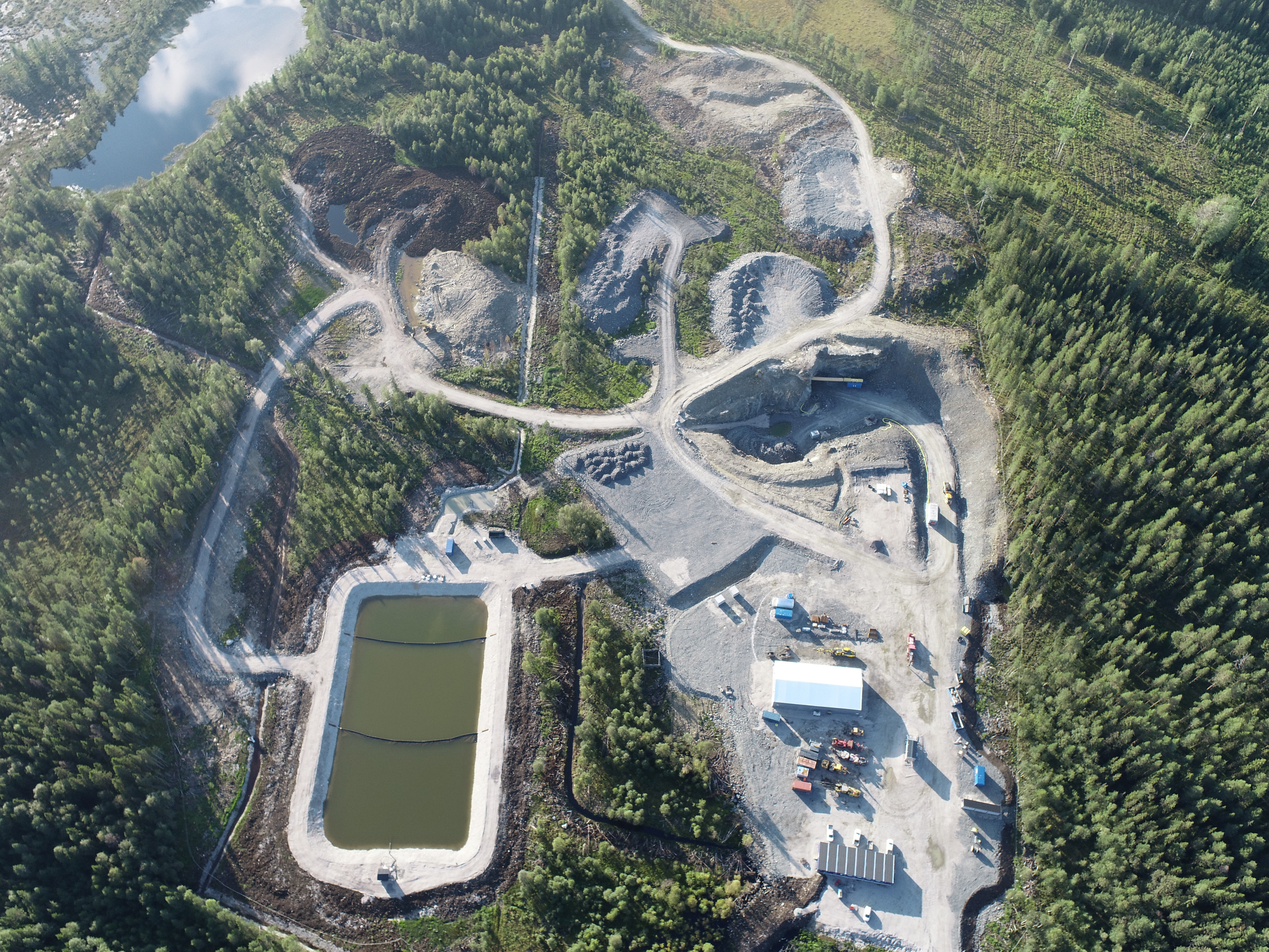 Forskning: Gurkmeja har smärtlindrande verkan