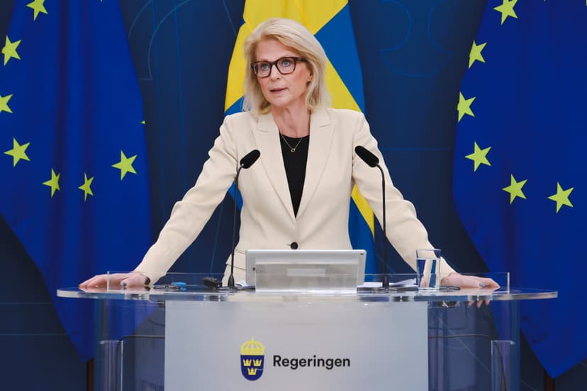 Svantesson: ”Vi behöver veta vilka som befinner sig i Sverige”