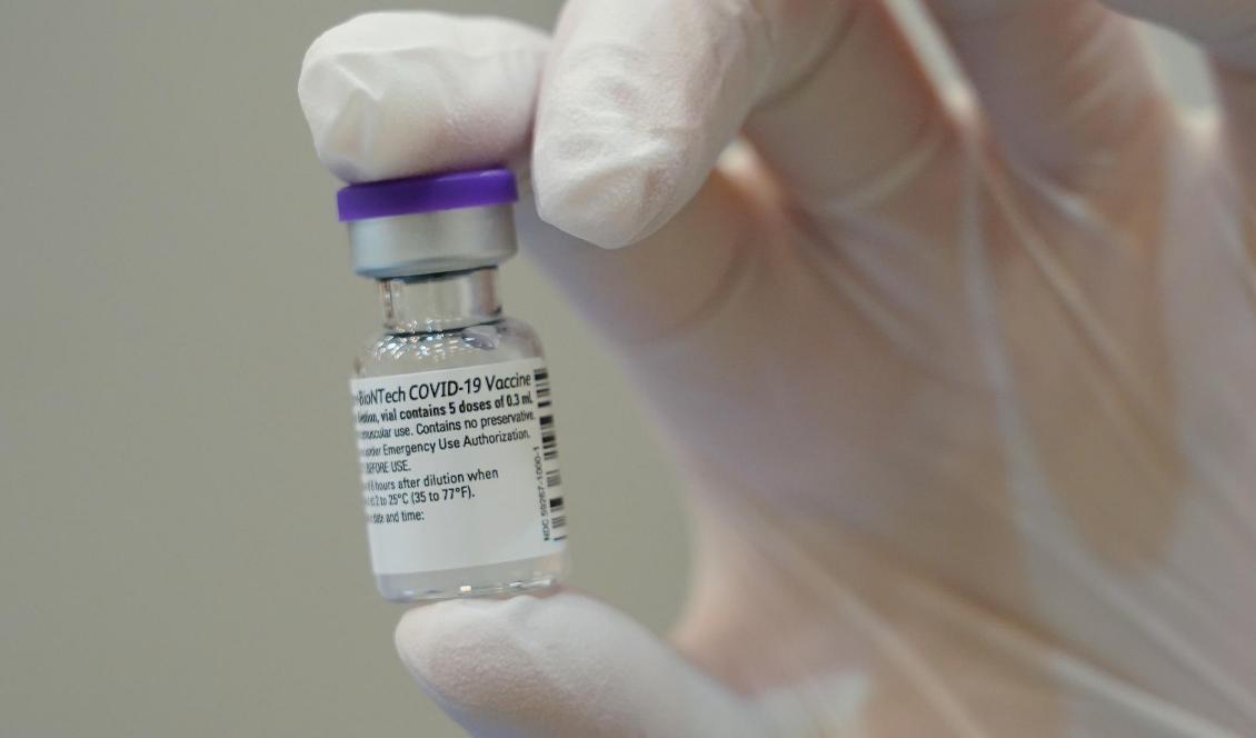 Pfizerchef: Covid-19-vaccinet testades inte för att förhindra ...